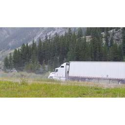 Online Training Courses for Safety and Compliance